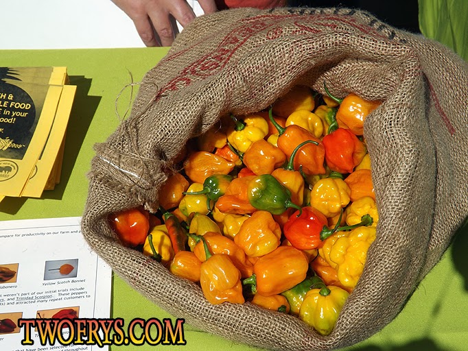 Two Frys: Chile Pepper Festival 2014 Brooklyn Botanic Garden
