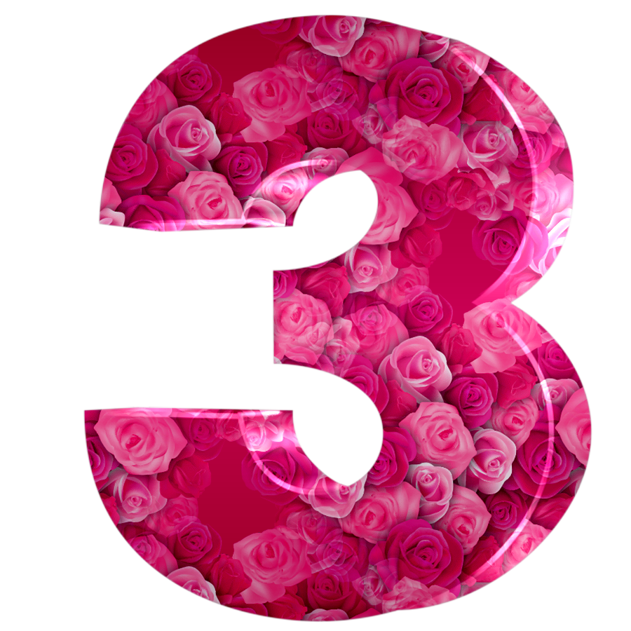 Monica Michielin Alphabets: PINK ROSES SEAMLESS ALPHABET, NUMBERS AND ...
