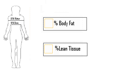 Wesley Corporate Health Blog: Changes in Female Body Composition with Age