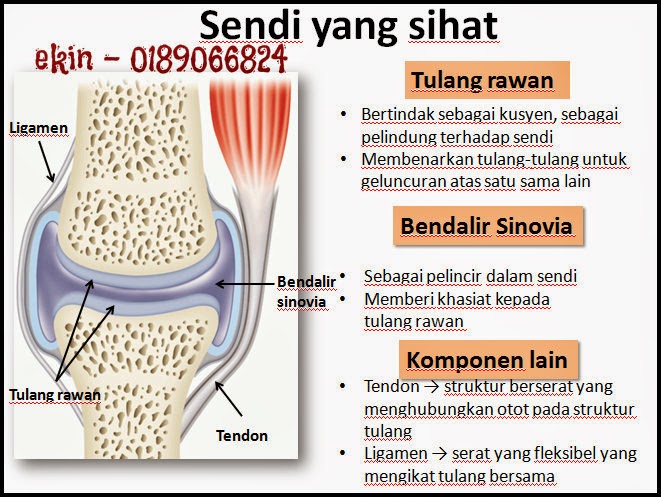 e-FARMASI CHINTA KESIHATAN KEKAYAAN: SENDI OH SENDI