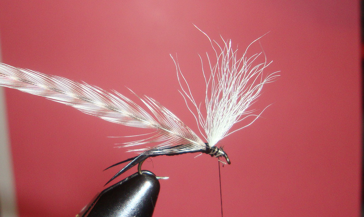 ~StreamSide Tales~: Mutant Stonefly tute