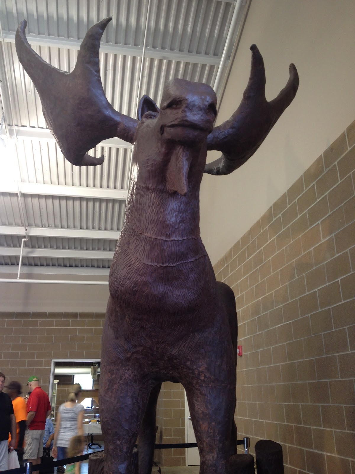 FAT IN OMAHA: Iowa State Fair 2012