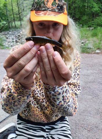 Fiskeligan: Ligarekord i bild