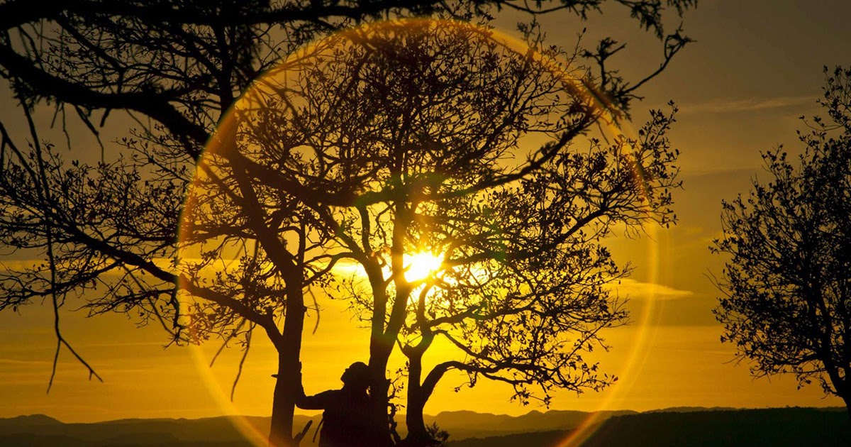 Día Mundial del Sol 2021 ~ NR - Noticias Renovables