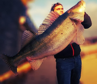 Attention grosses prises