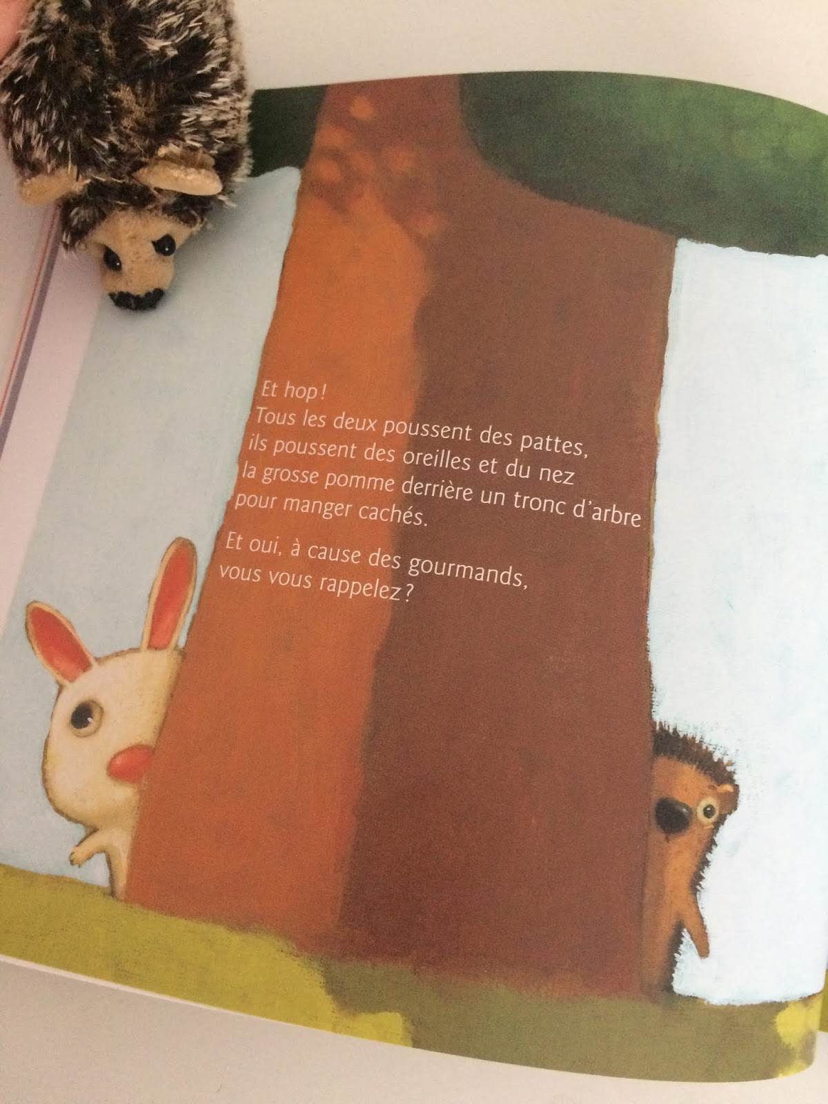 Le petit hérisson partageur