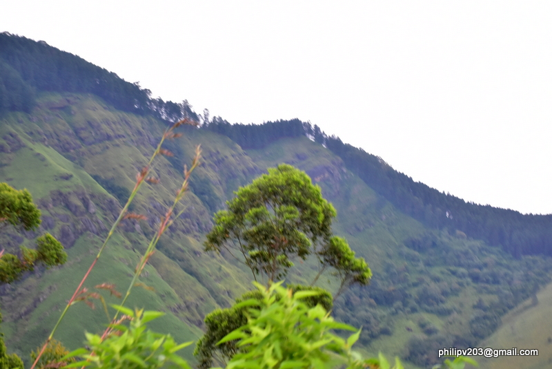 Images of Sri Lanka on blogspot.com: The climb up to the Kurundu Oya ...