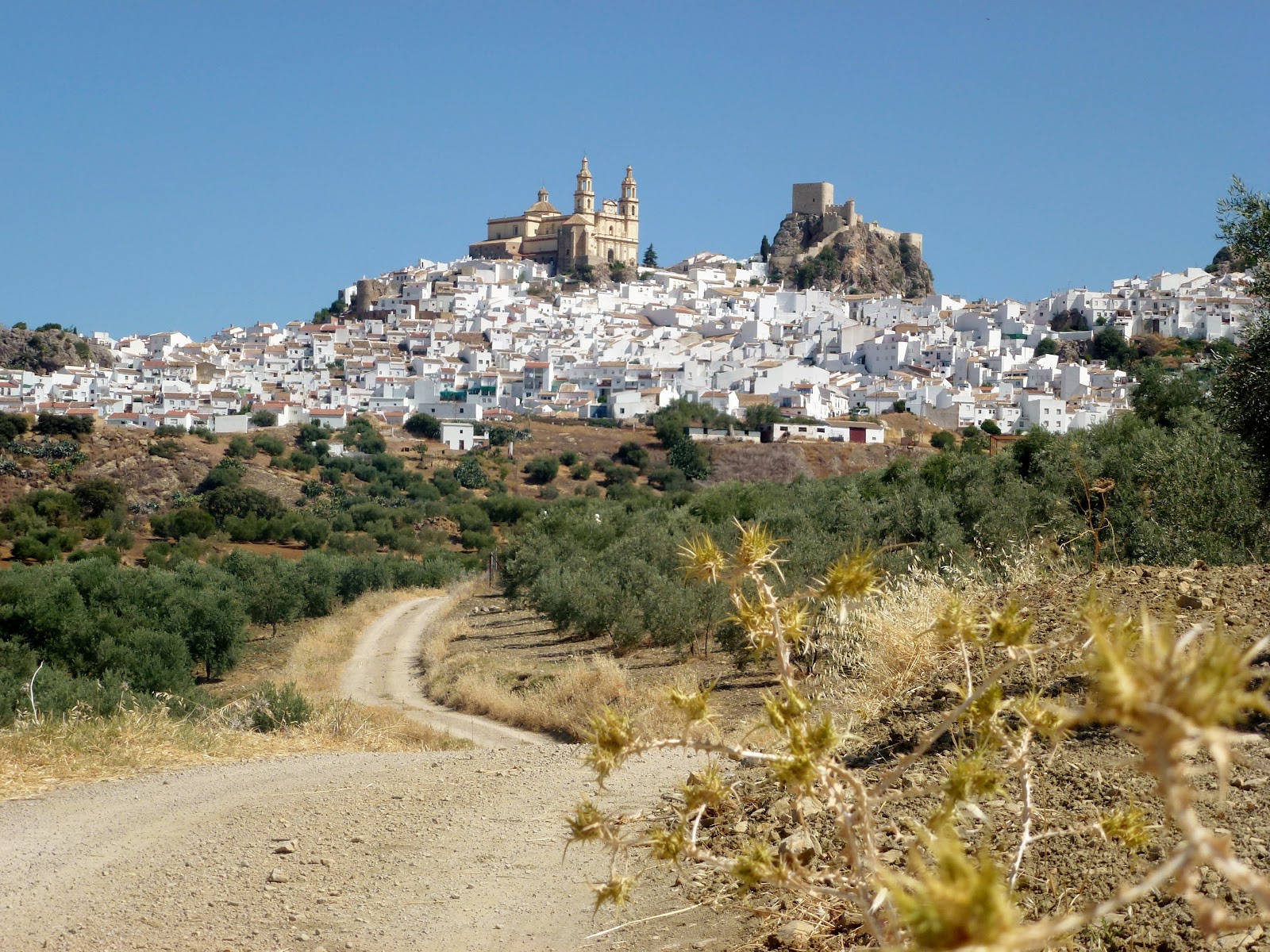 Olvera diary: Views from the campo