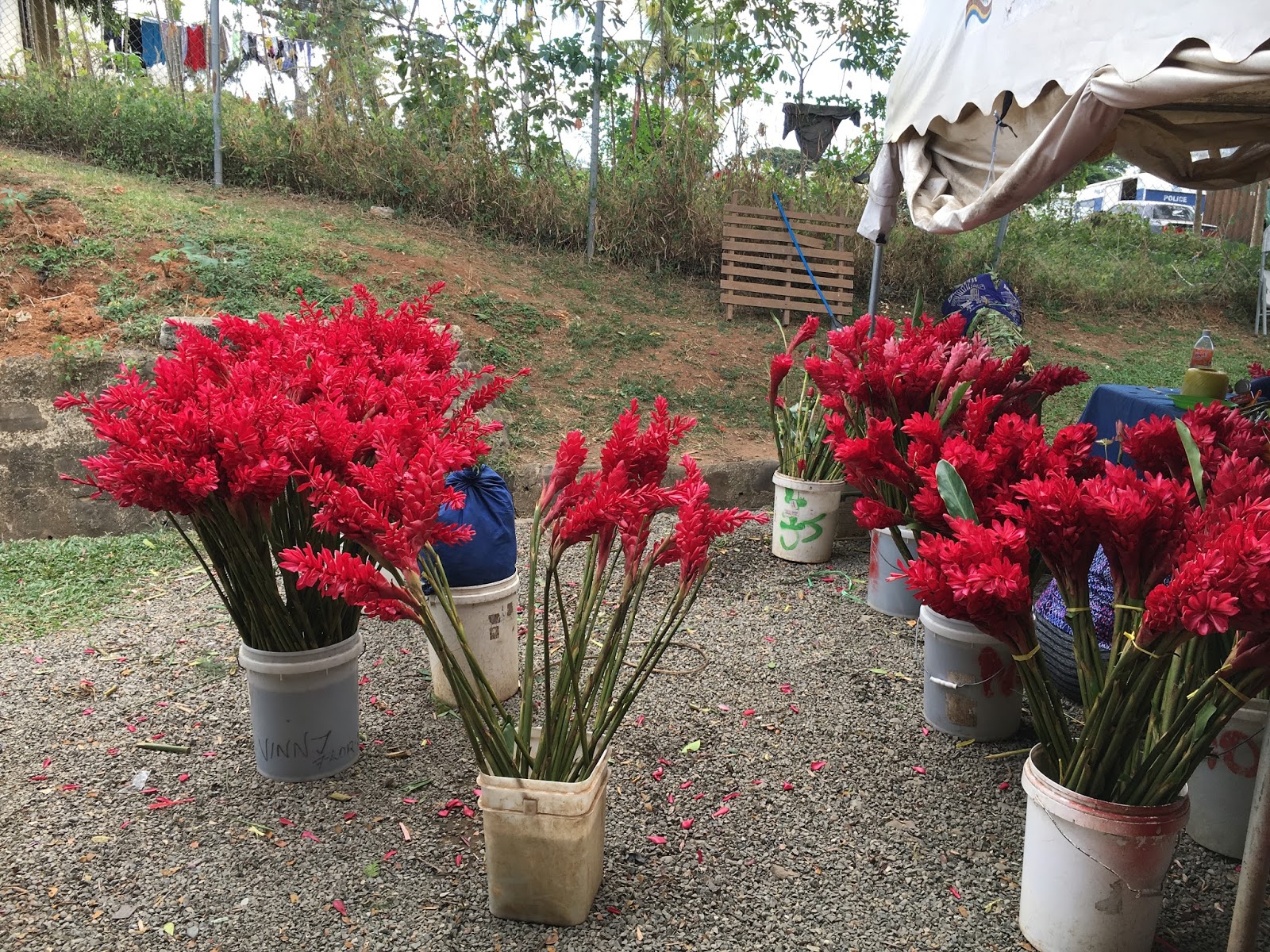 Namaka Market - Nadi, Fiji - Travel is my favorite Sport