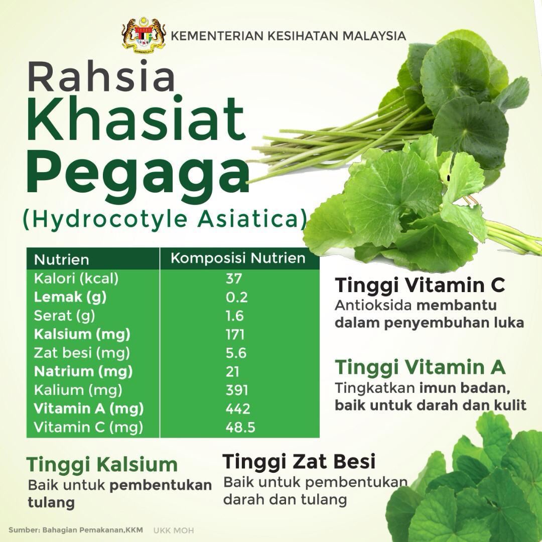 laman impianku...: Khasiat Pegaga / Centella asiatica