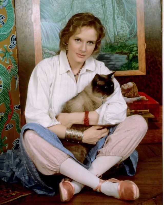 30 Beautiful Photos of French Actress Dominique Sanda in the 1970s ...