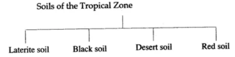 ICSE Solutions for Chapter 4 Soils in India Class 10 Geography