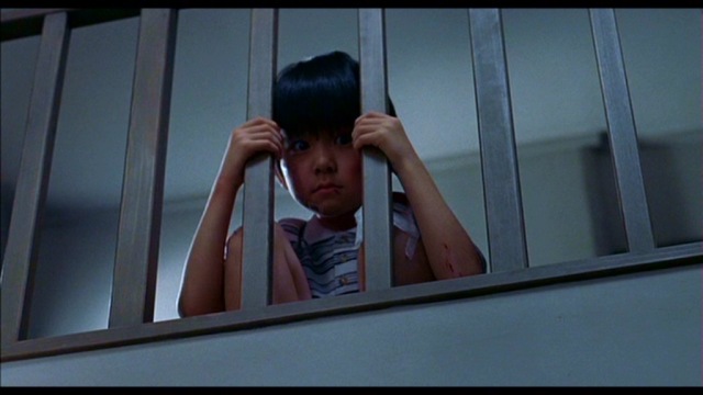 Shameless Pile of Stuff: Movie Review: The Grudge (2004)