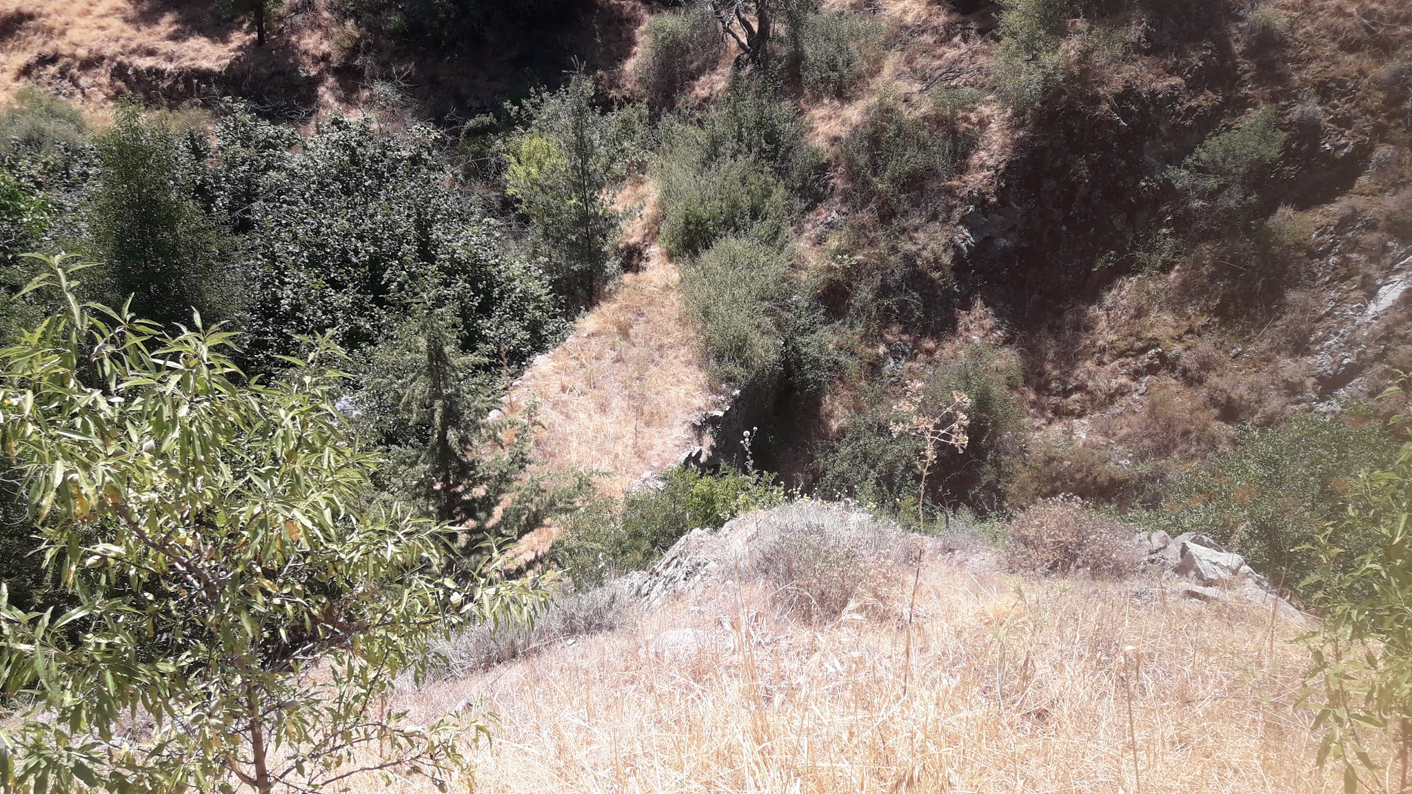 ΤΑ ΕΝΕΤΙΚΑ / ΑΡΧΑΙΑ ΓΕΦΥΡΙΑ ΤΗΣ ΚΥΠΡΟΥ