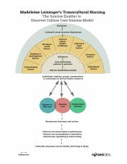 Leininger S Sunrise Model ~ Medical Resume