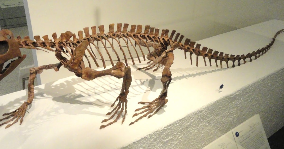 Equatorial Minnesota: Trilophosaurus and Ophthalmothule