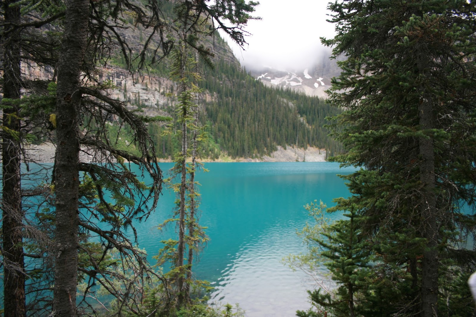 The Sully Adventures