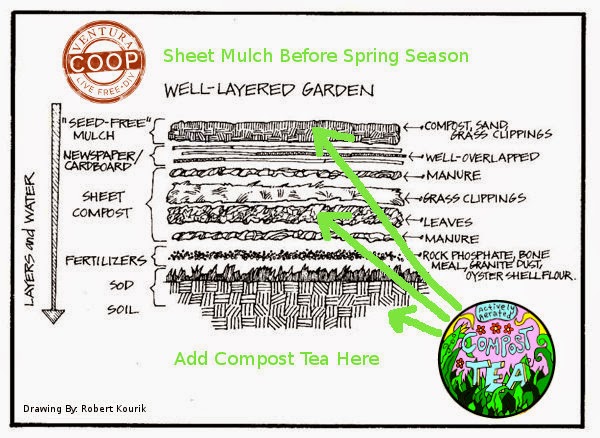 Ventura Cooperative: January 2015