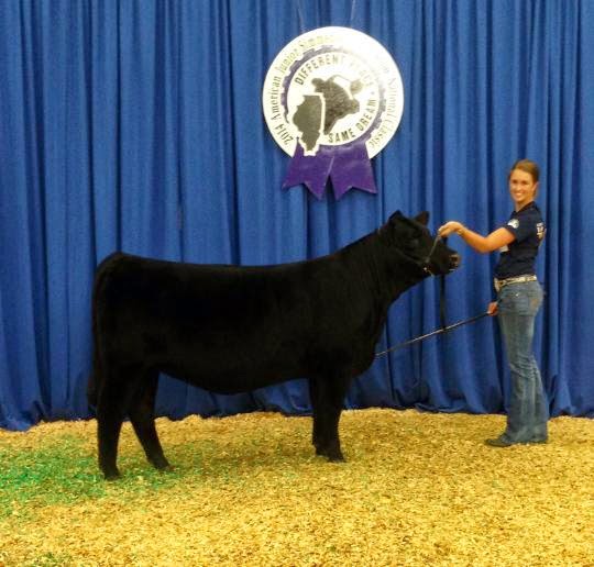 MITTAG Blog: National Jr Simmental Show