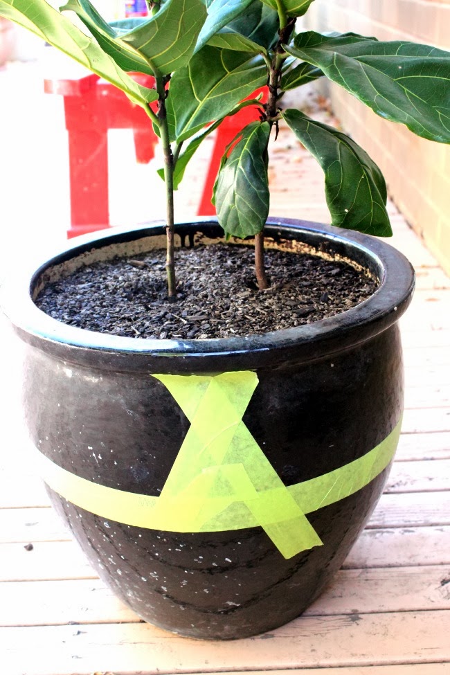 Hunted and Made: DIY Painted Triangle Pot Plant & Fiddle Leaf Fig