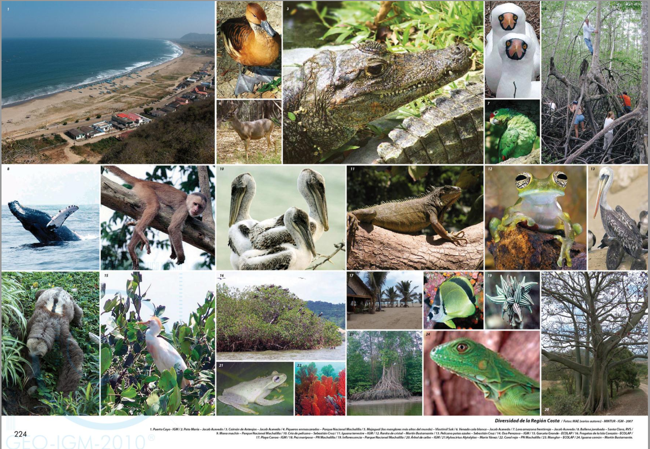 Ciencias Sociales y Humanidades: noviembre 2018