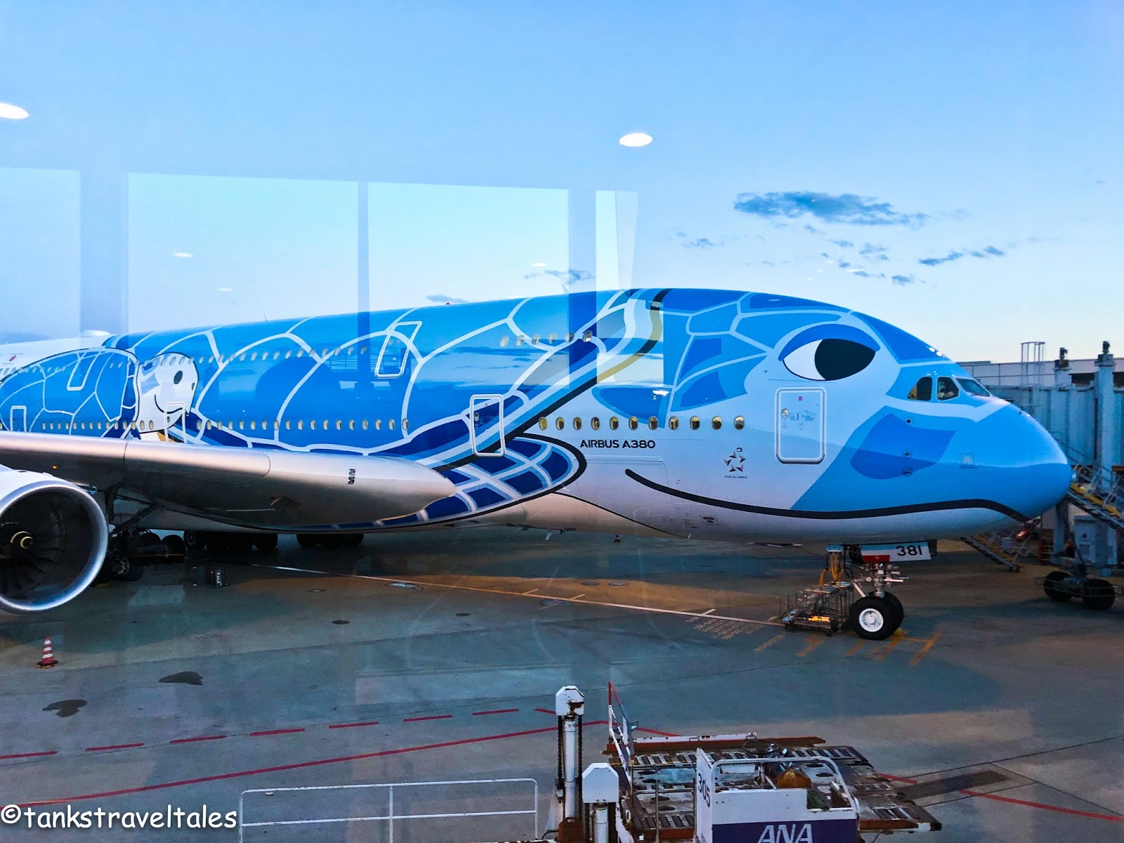 Airplane Pictures - ANA A380-800 with Turtle Livery