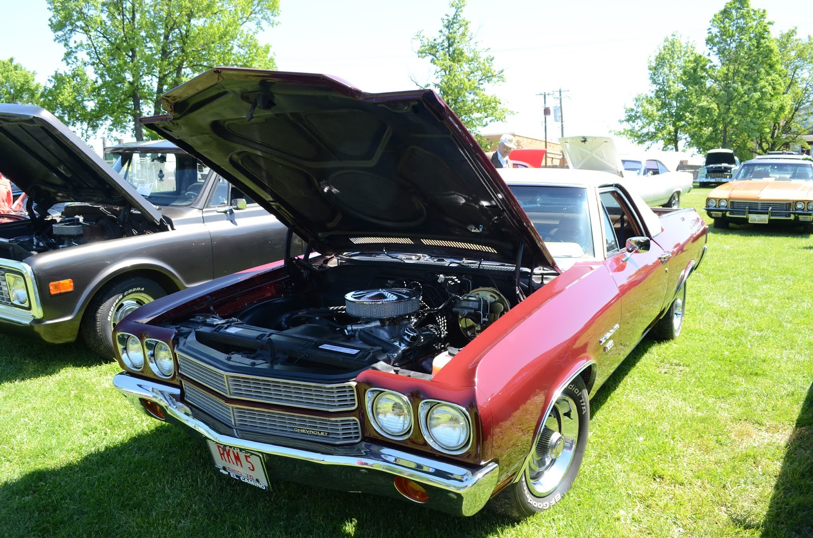 Turnerbudds Car Blog: More From Cheviot