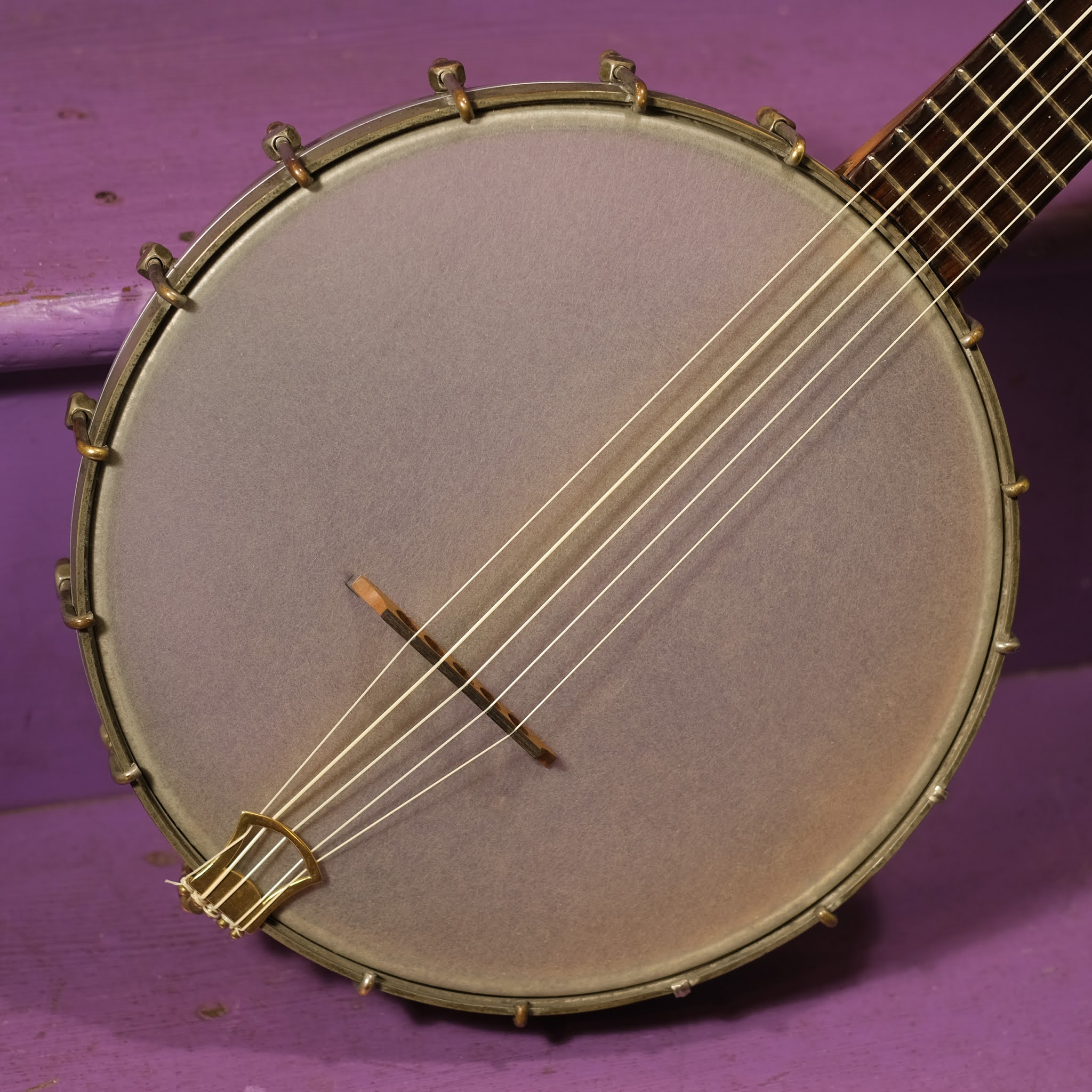 1890s Lyon & Healy 5-String Openback Banjo