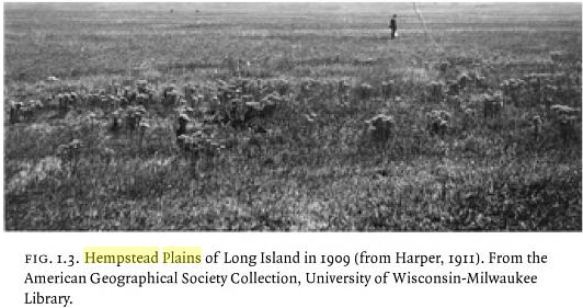 Hempstead Plains - Alchetron, The Free Social Encyclopedia