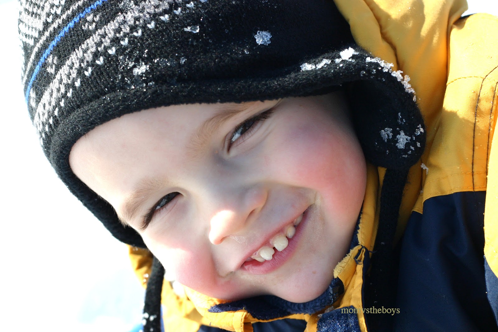 Raising Canadian Kids – Mom vs the Boys