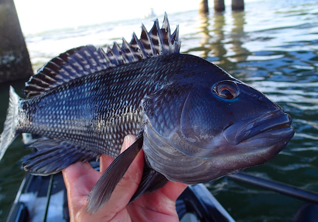 Angling Addict: Hues and Saturation