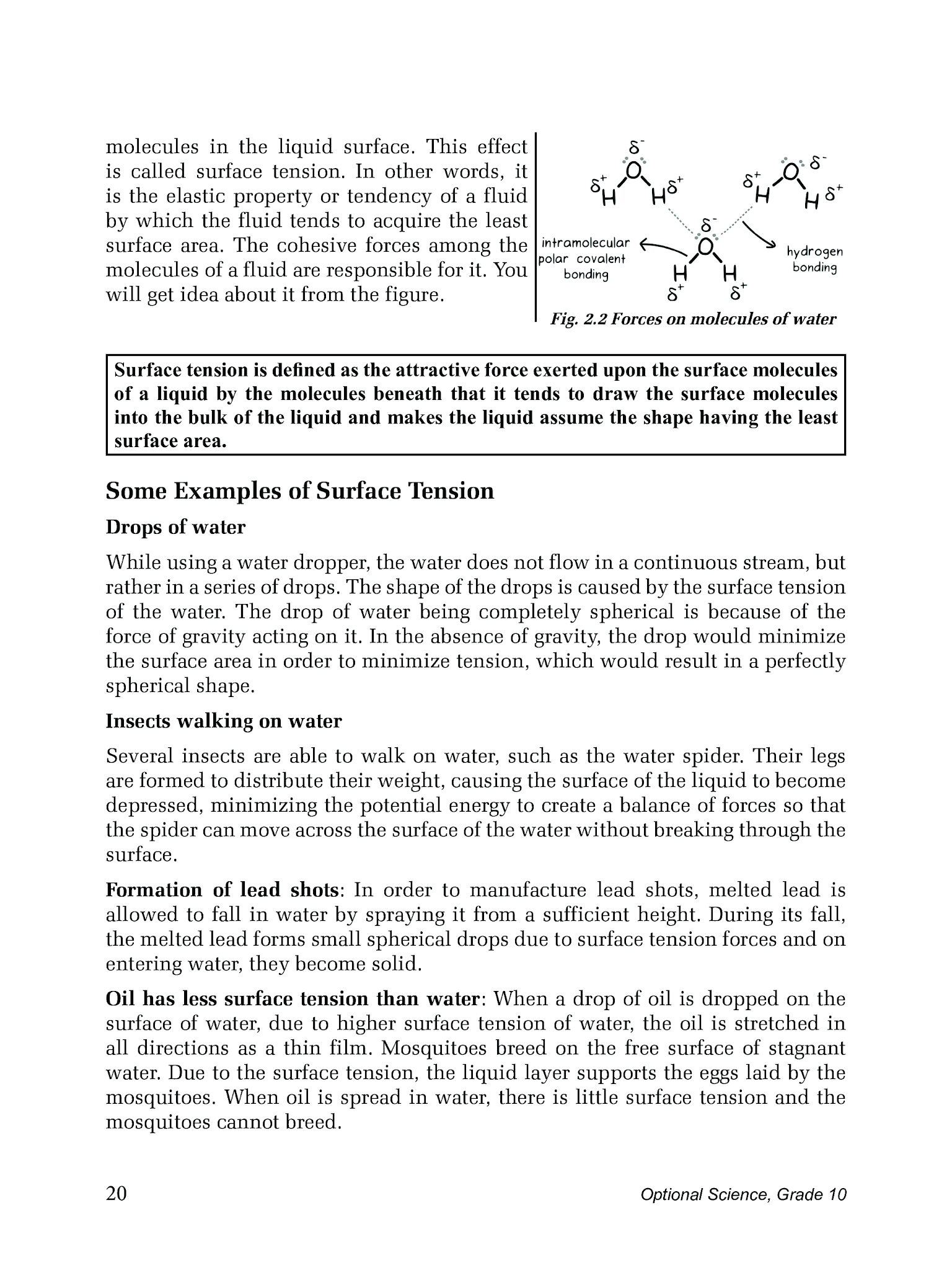 Optional-Science-Grade-10