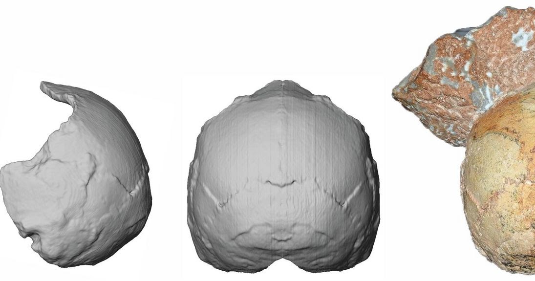 Luna Cientista: História da migração humana é repensada a partir de ...