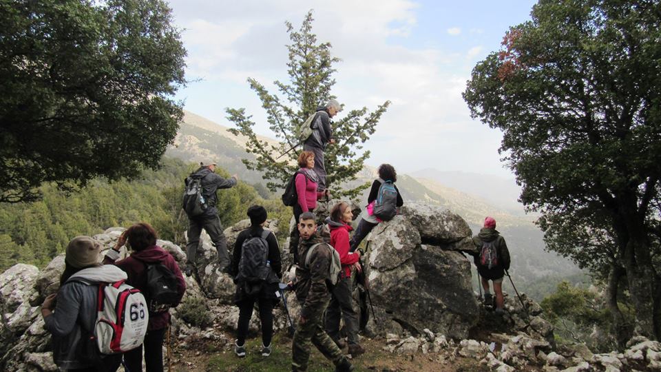 EXPLORE MOUNTAINS: ΣΤΟ ΚΥΠΑΡΙΣΣΟΔΑΣΟΣ ΚΡΙΤΣΑΣ ΓΙΑ ΤΗΝ ΠΑΓΚΟΣΜΙΑ ΗΜΕΡΑ ...