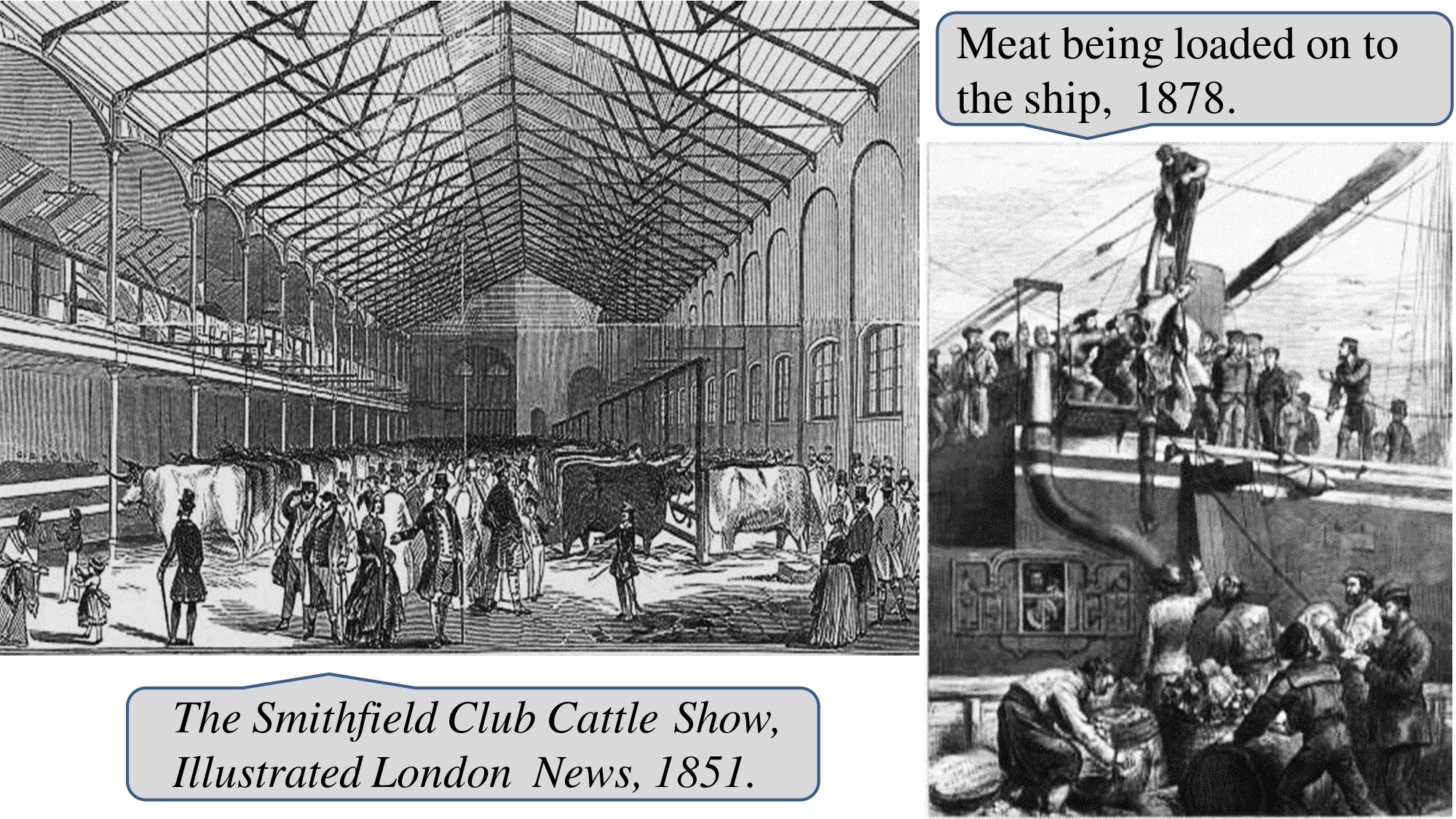 The Making Of Global World Class 10th (History) PPT, and Revision notes