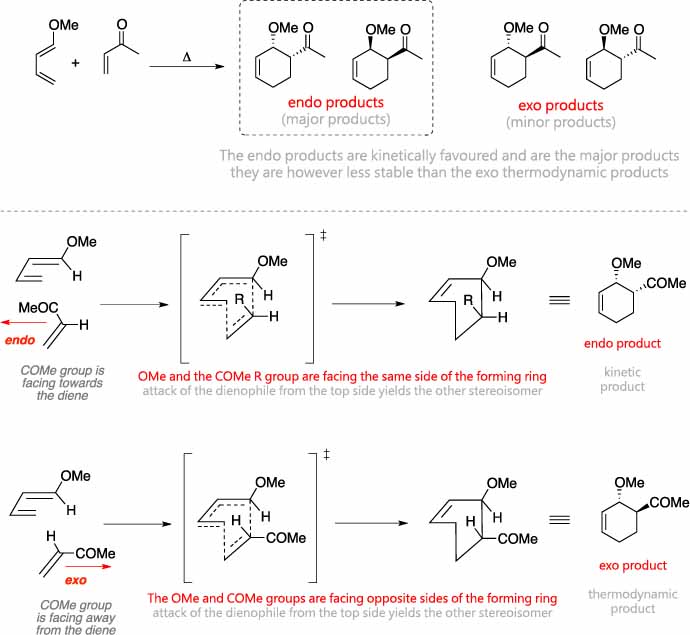 Endo Rule Explained at Michael Doxey blog