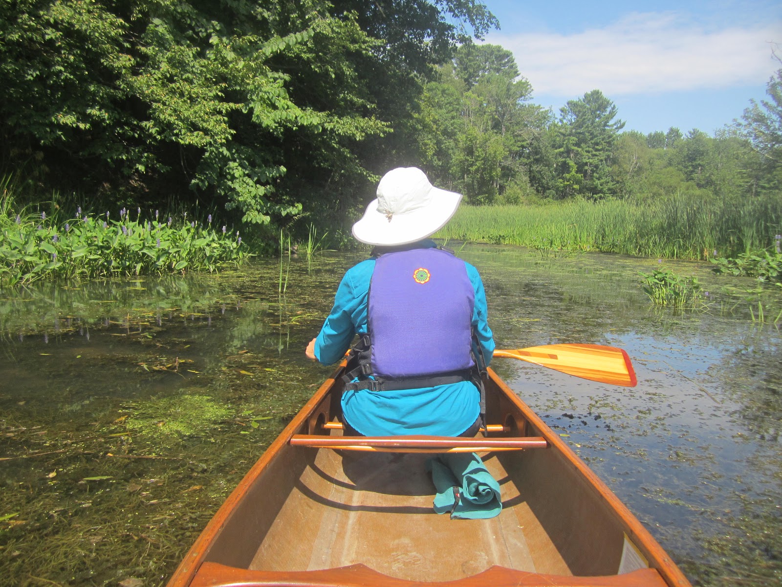wash wild: 'Round Cement Mountain