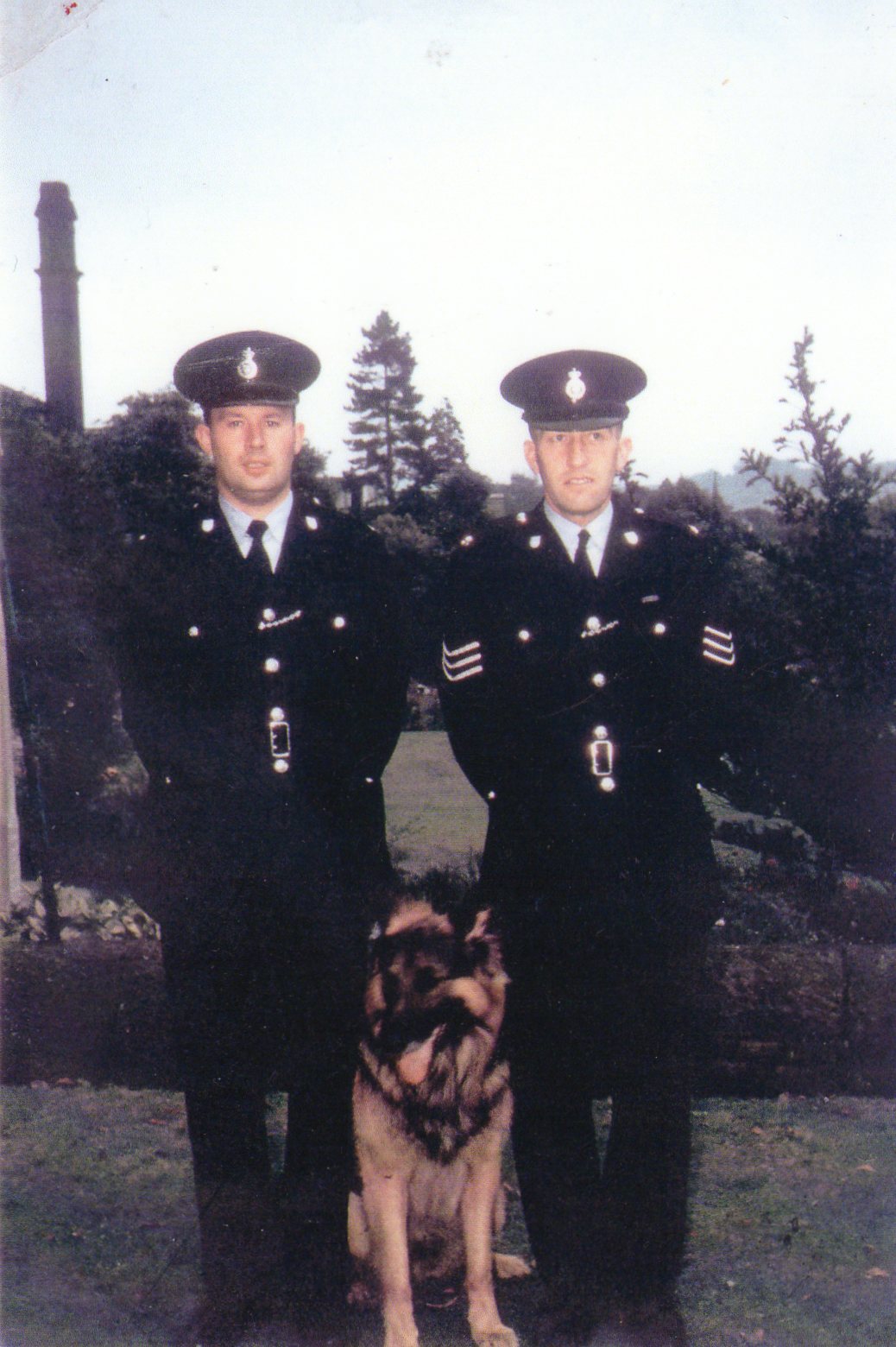 UK Police Dog history: Derbyshire Police Dog Section