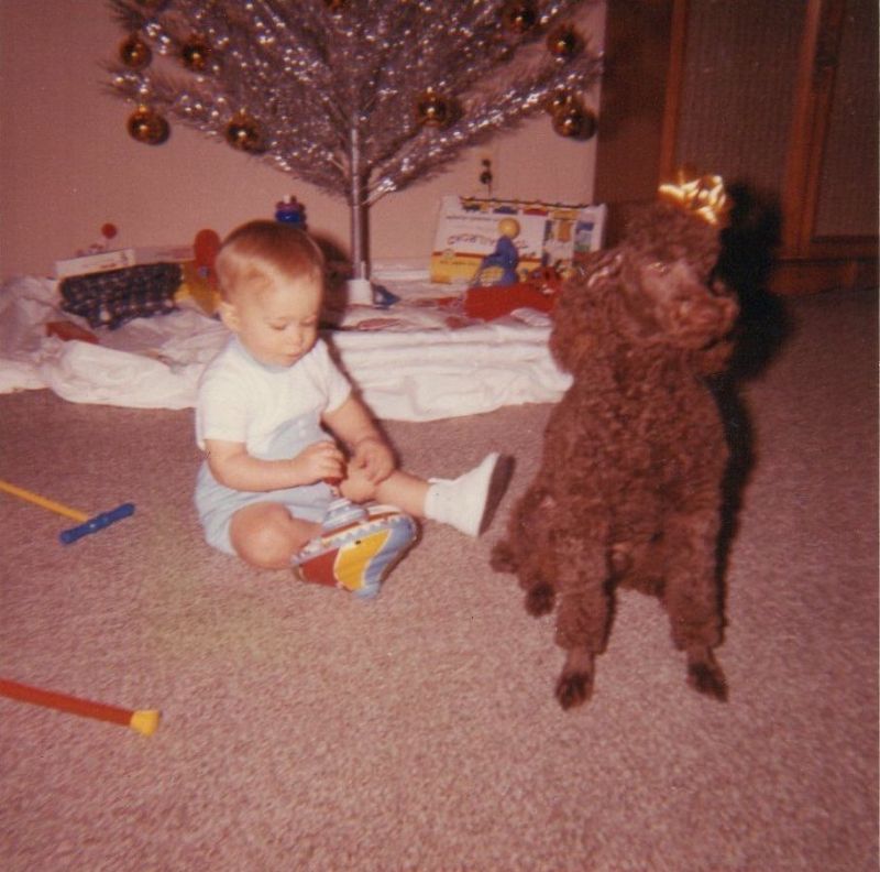 40 Cool Photos Capture People With Their Poodles in the 1950s and ’60s ...
