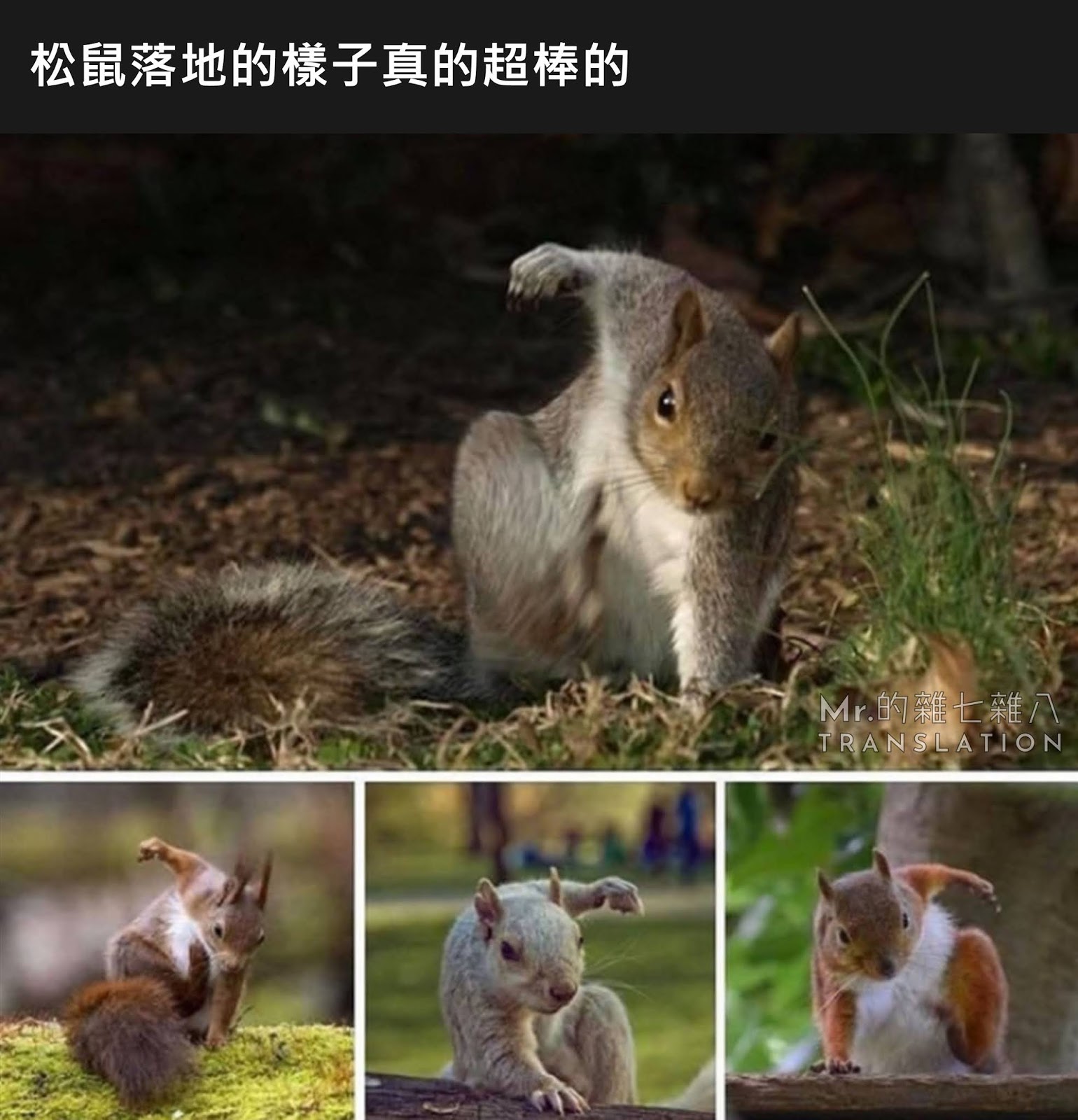 FUMB (54) - 週一正能量 | Mr.的雜七雜八翻譯