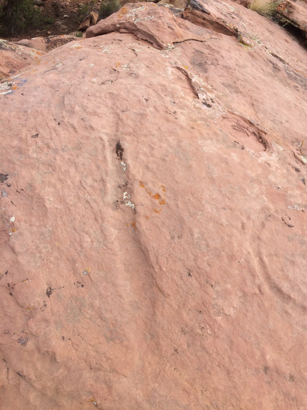 Oddities Curios and Other repressed Emotions: Water Glyphs