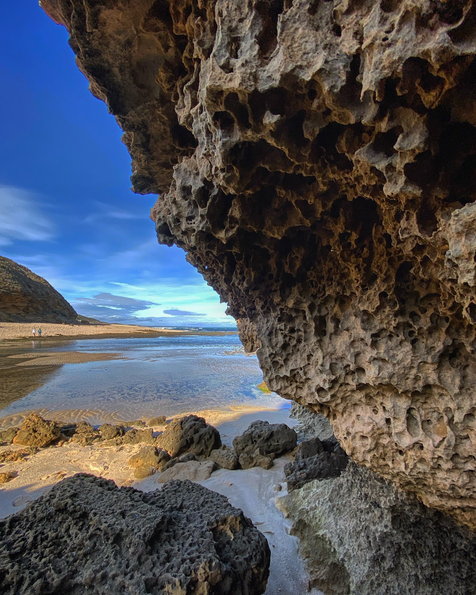 keeping up with the kortlevers