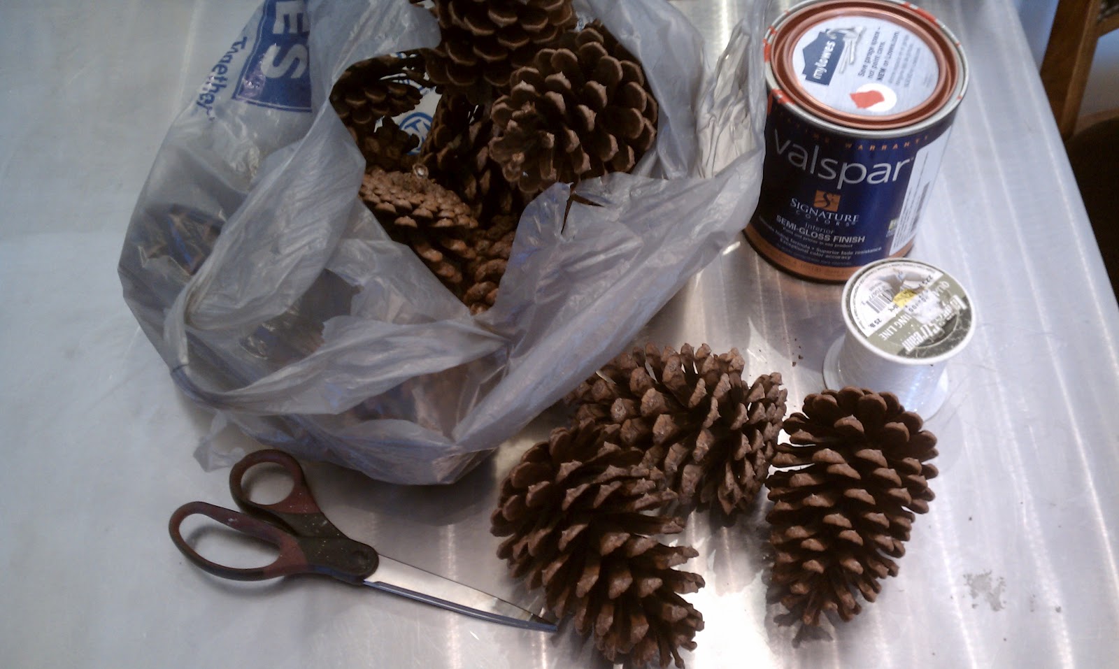 Chet Pourciau Design: DIY Paint Dipped Pine Cones