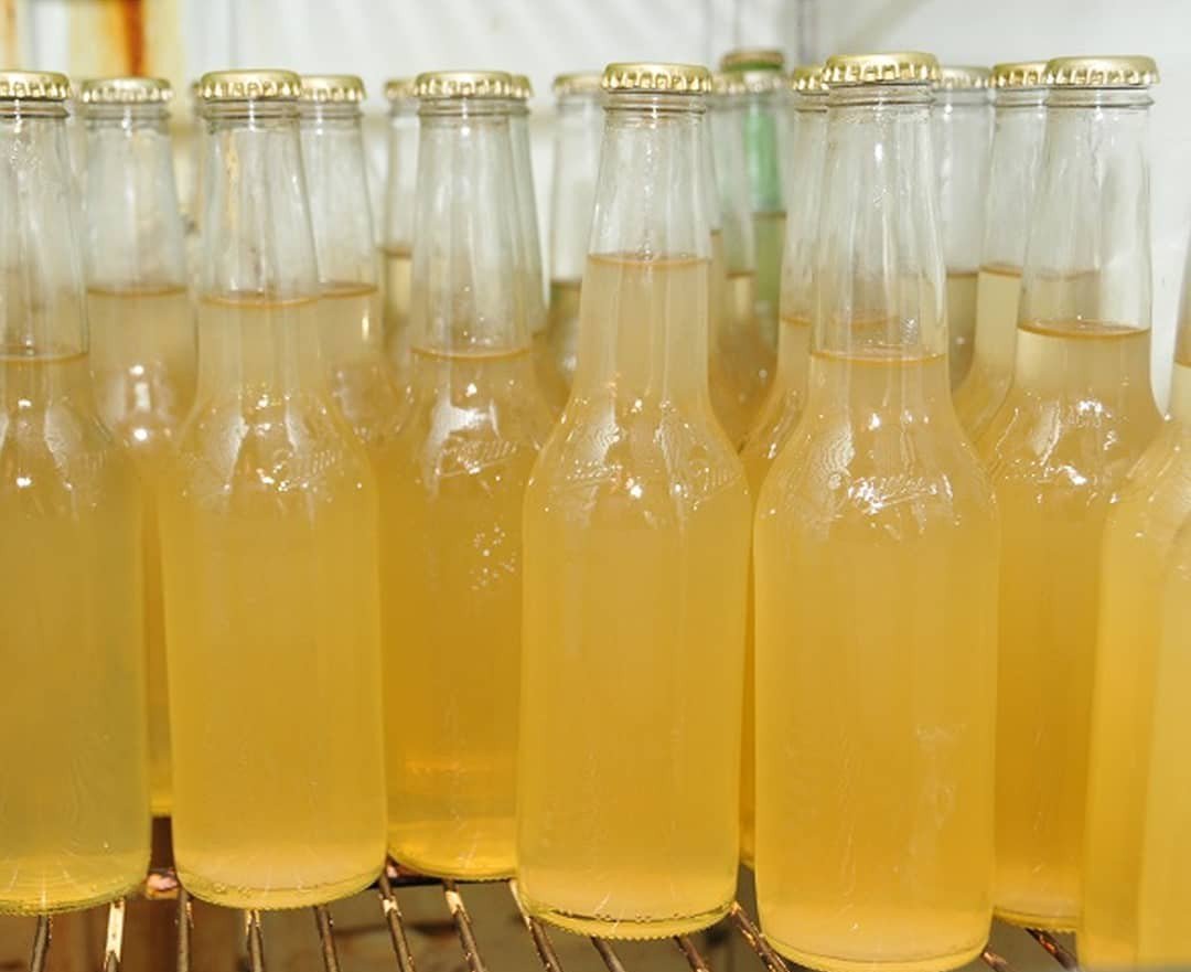 eltapondelascinco.com: El mabí seibano evita la eyaculación precoz