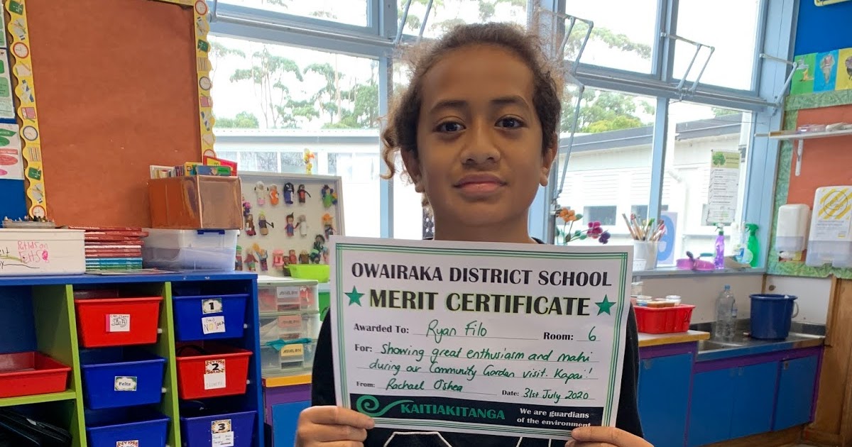 Room 6 Class Blog - Teacher: Rachael O'Shea: Congratulations