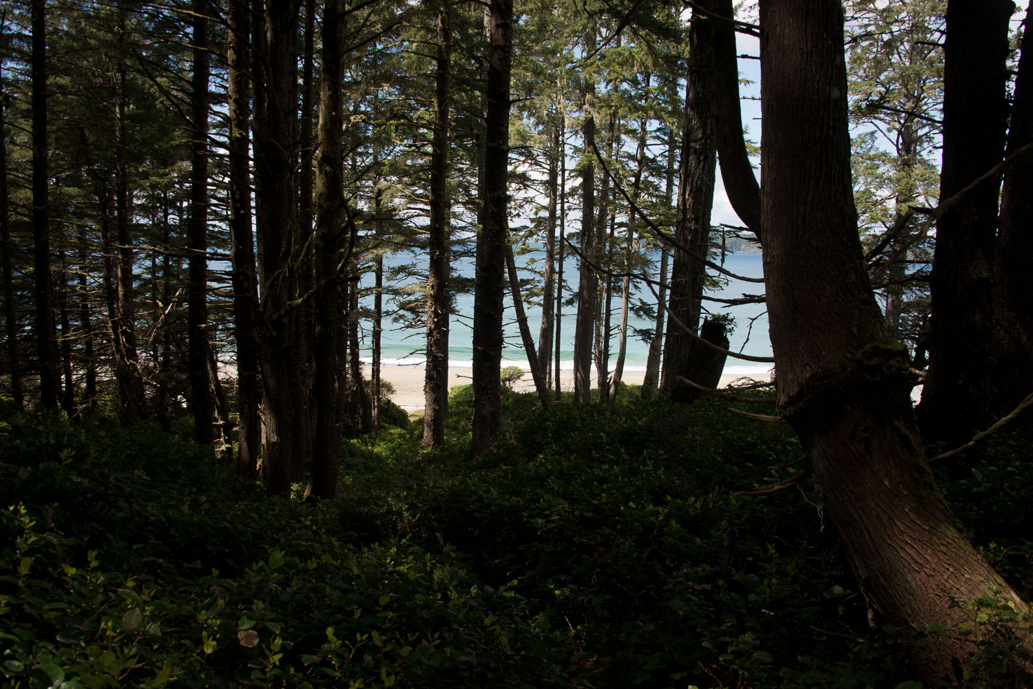 Tapaltos Bay & Cape Beale Lighthouse Visit! - Explorington