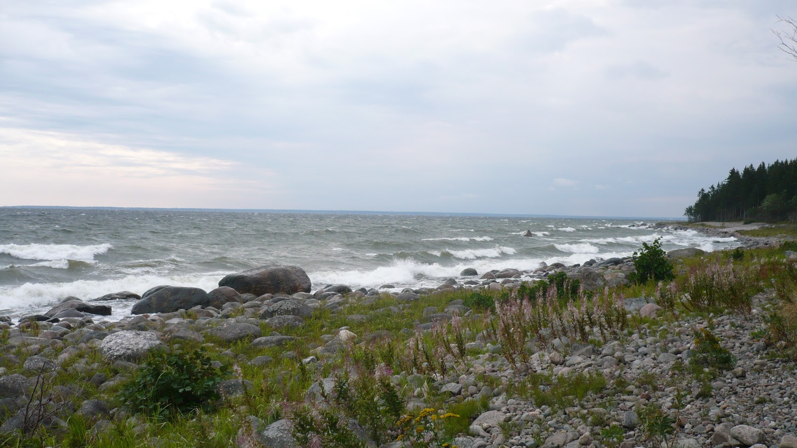 Reisiblogi - Jalgrattal ümber Eesti