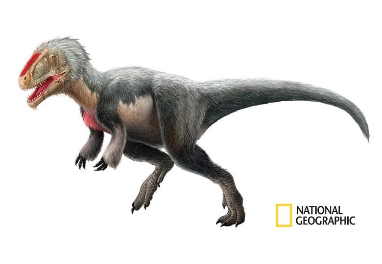 Species New to Science: [Paleontology • 2012] Yutyrannus huali ...