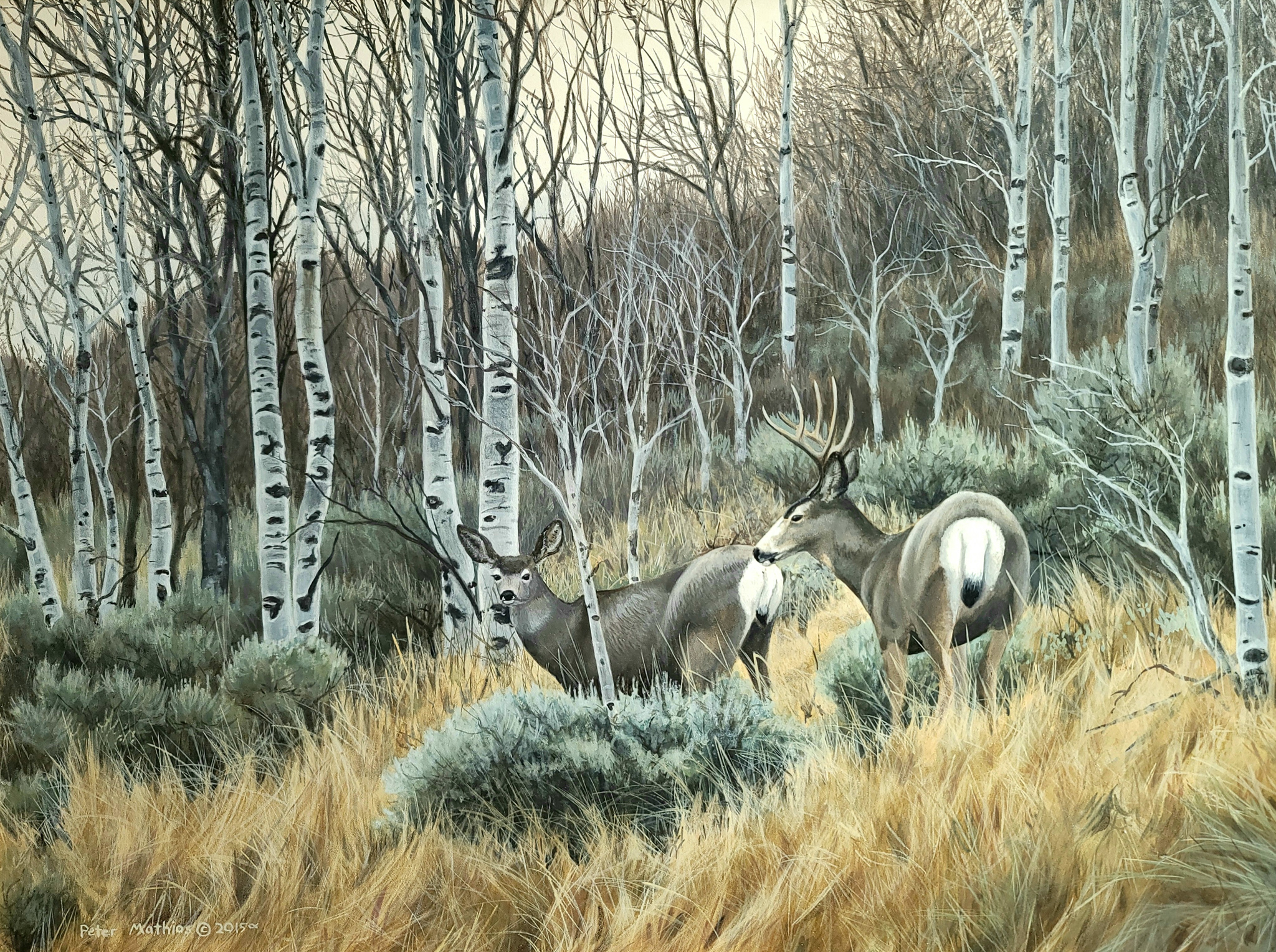 The Art of Peter Mathios