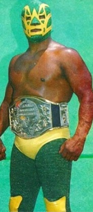 ¿QUIEN ES QUIEN? LUCHA LIBRE